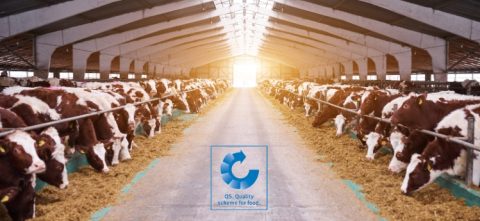 GRILLO-Werke AG | The specialists for zinc & sulphur